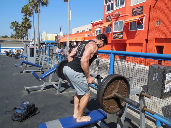 The Sub-30-Minute Two Exercise Workout – Vegan Muscle and Fitness